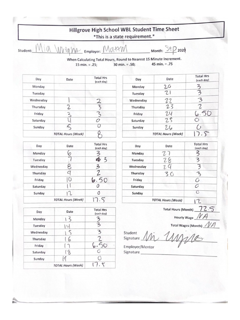 School WBL Student Time Sheet | PDF