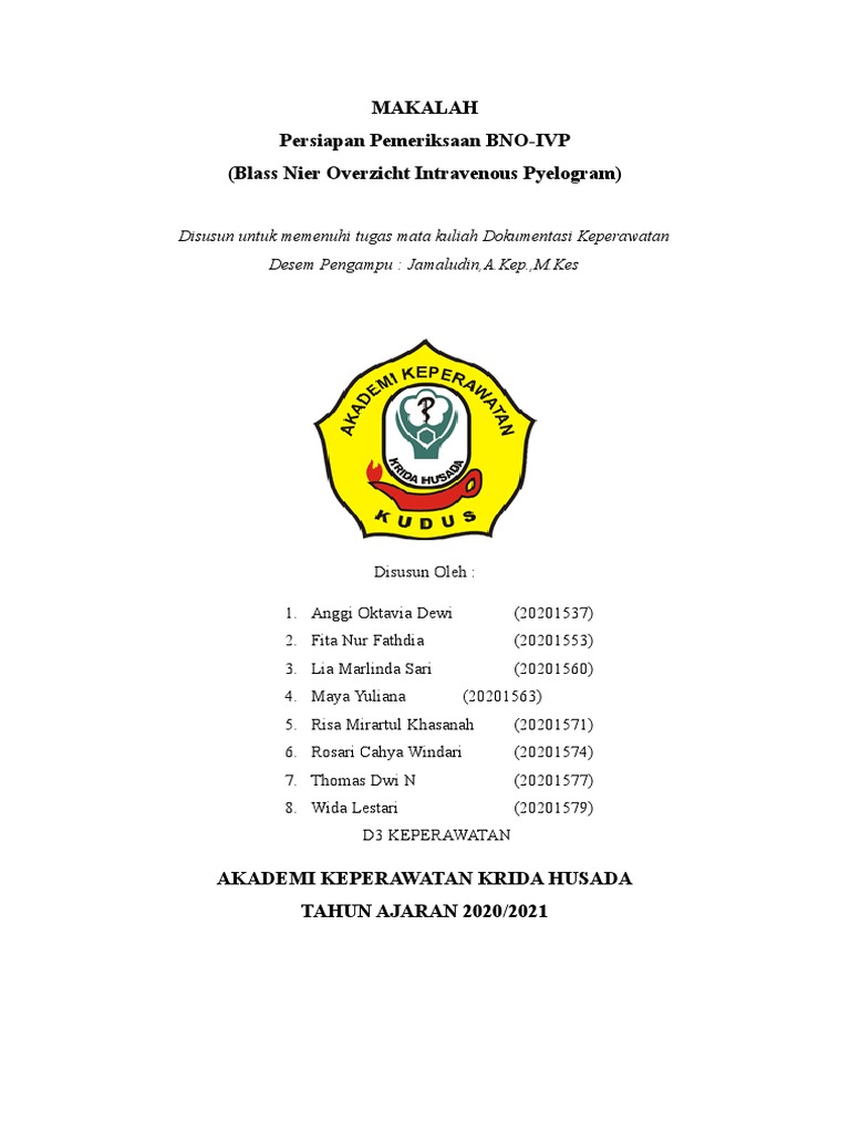 Makalah BNO-IVP - Docx Revisi | PDF
