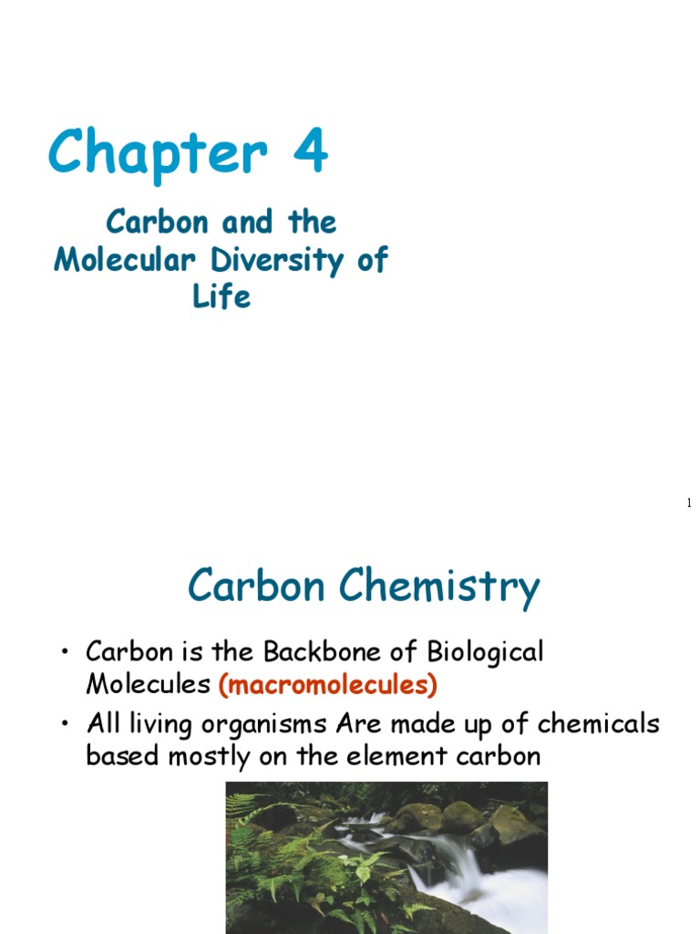 04 - Carbon Chemistry Text | PDF | Carboxylic Acid | Functional Group