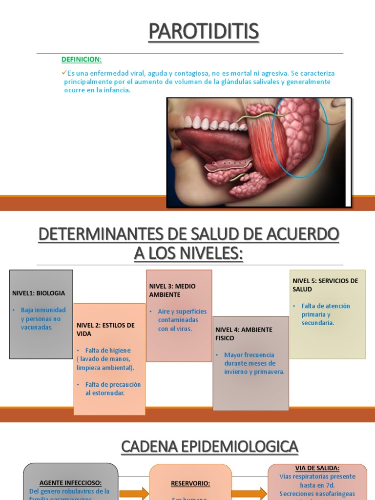 PAROTIDITIS | PDF | Salud pública | Enfermedades animales