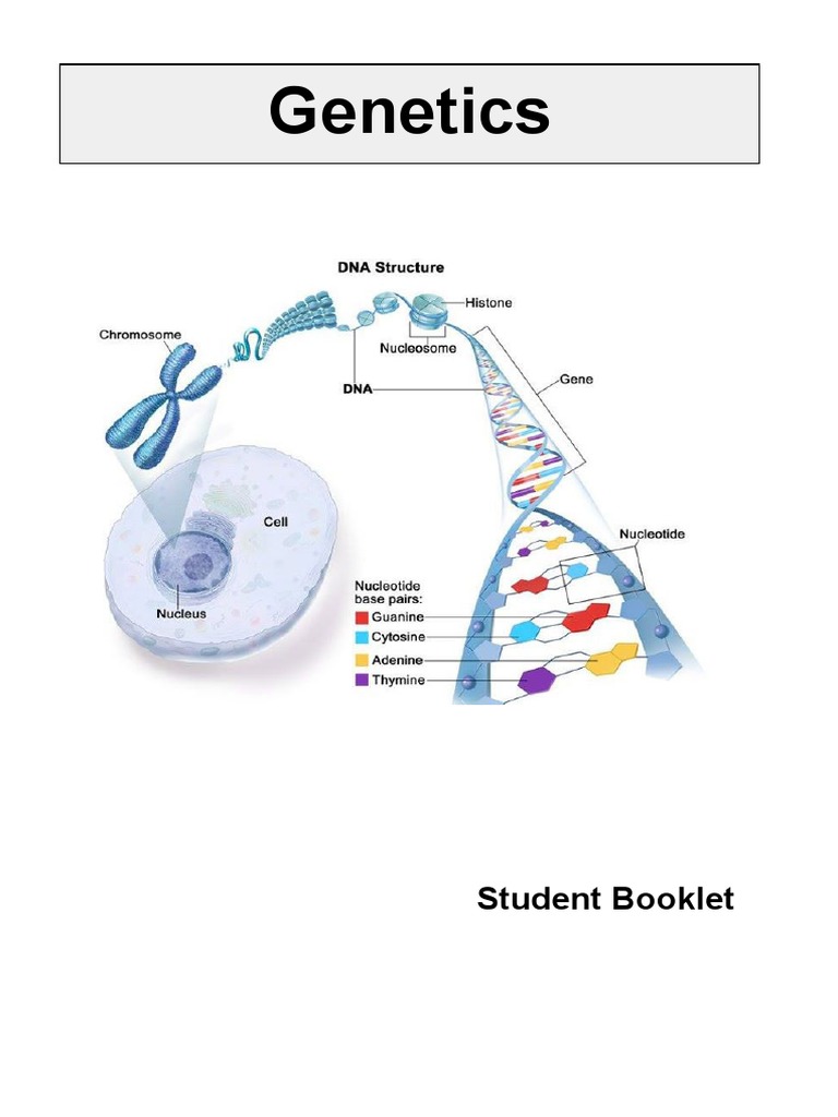 99a Genetics Student Workbook Summer 2021 | PDF | Meiosis | Mitosis