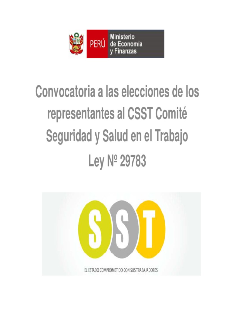 Comite SST | PDF | Gobierno