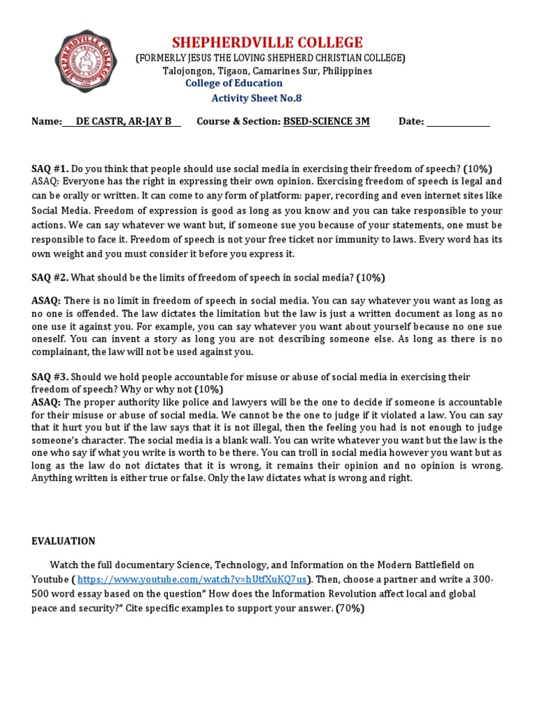 De Castro Bsedsci3m Sts Module8 | PDF | Social Media | Popular Culture ...