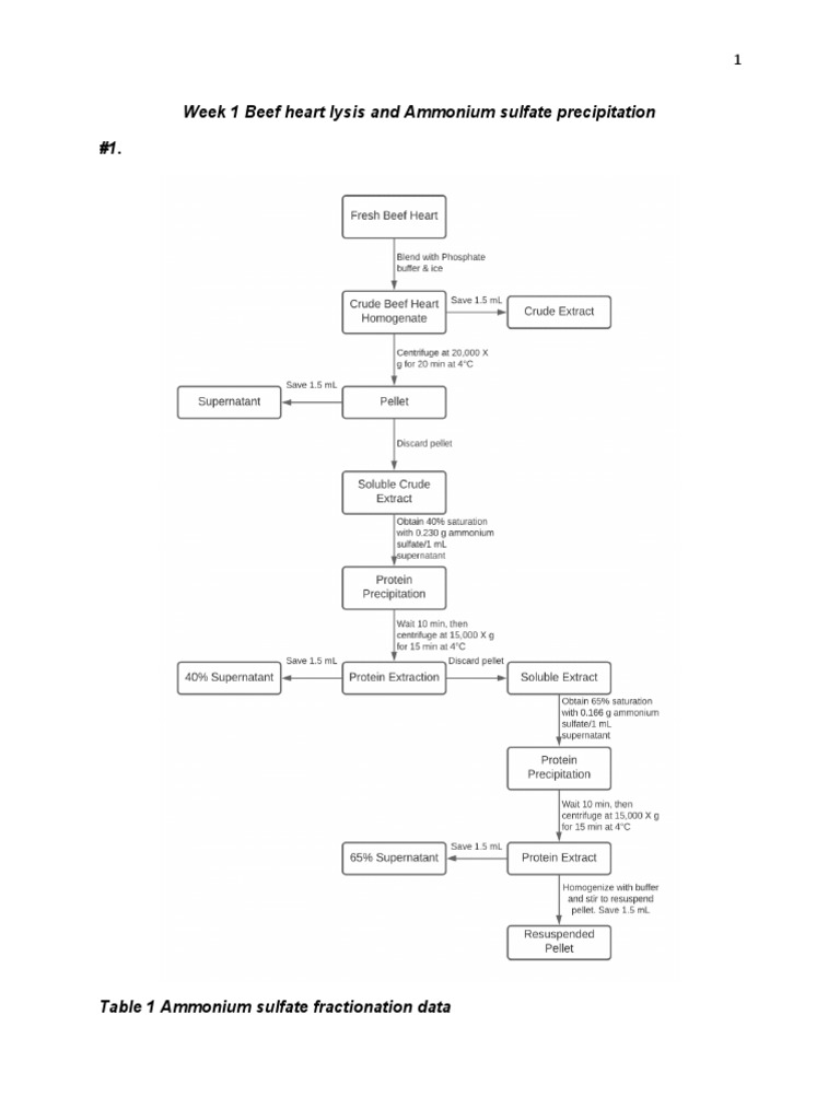 Week 1 Beef Heart Lysis and Ammonium Sulfate Precipitation #1 | PDF ...