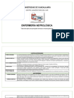 Instruccion Uralos Max Editable | PDF | Especialidades Medicas
