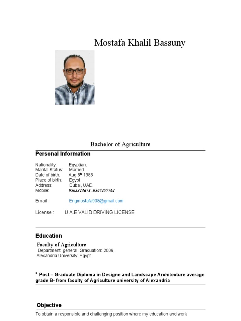 Moustafa Khalil CV | PDF | United Arab Emirates | Dubai