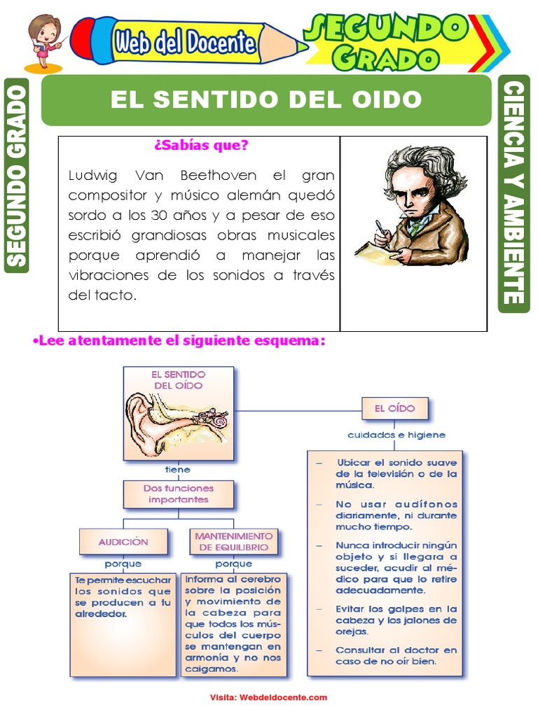 Sentido Del Oido para Segundo Grado de Primaria | PDF