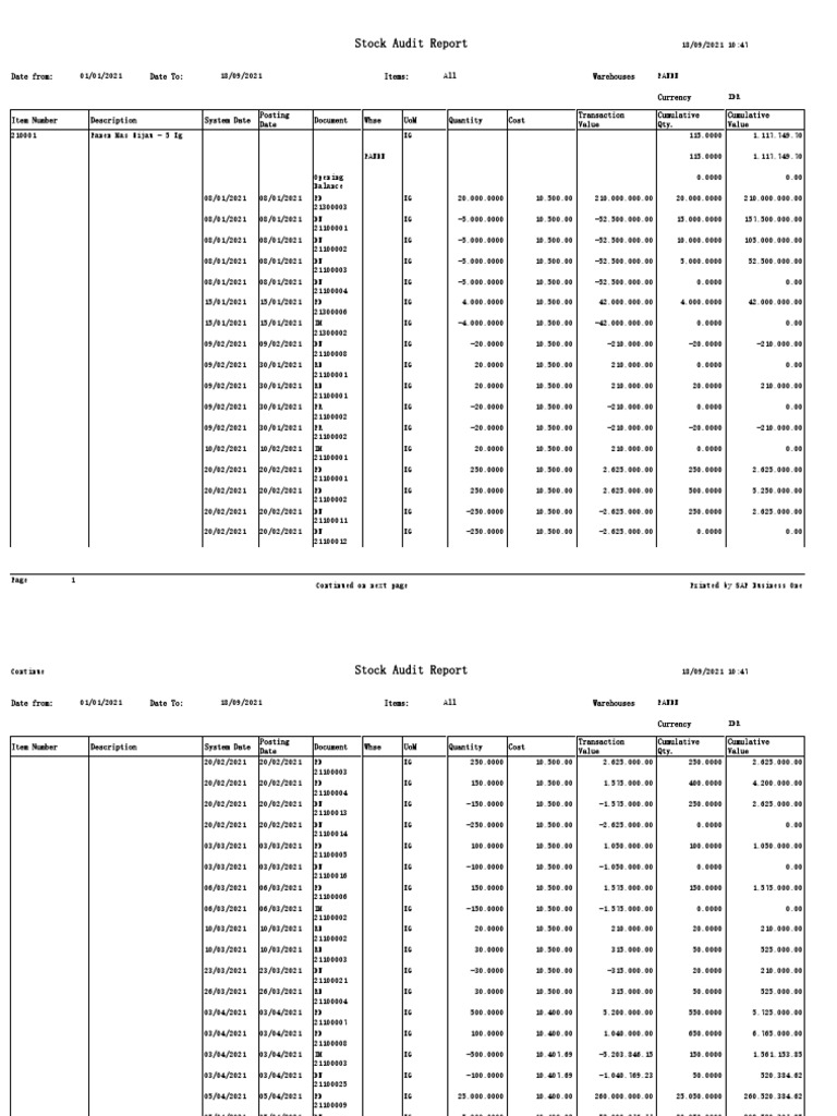 Inventory Audit Report - 20210918 - 104722 | PDF | Economies | Business