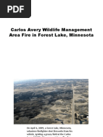 10 Famous Arsonists and Why | PDF | Arson | Crime & Violence