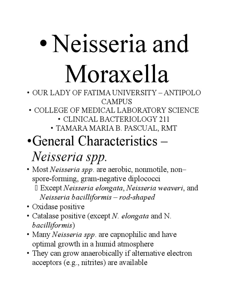 Neisseria and Moraxella: - General Characteristics - Neisseria SPP | PDF | Microorganism ...