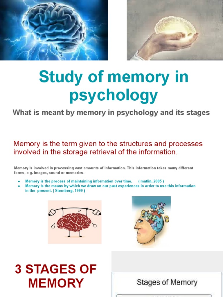 Memory in Psychology: Stages and Definitions | PDF