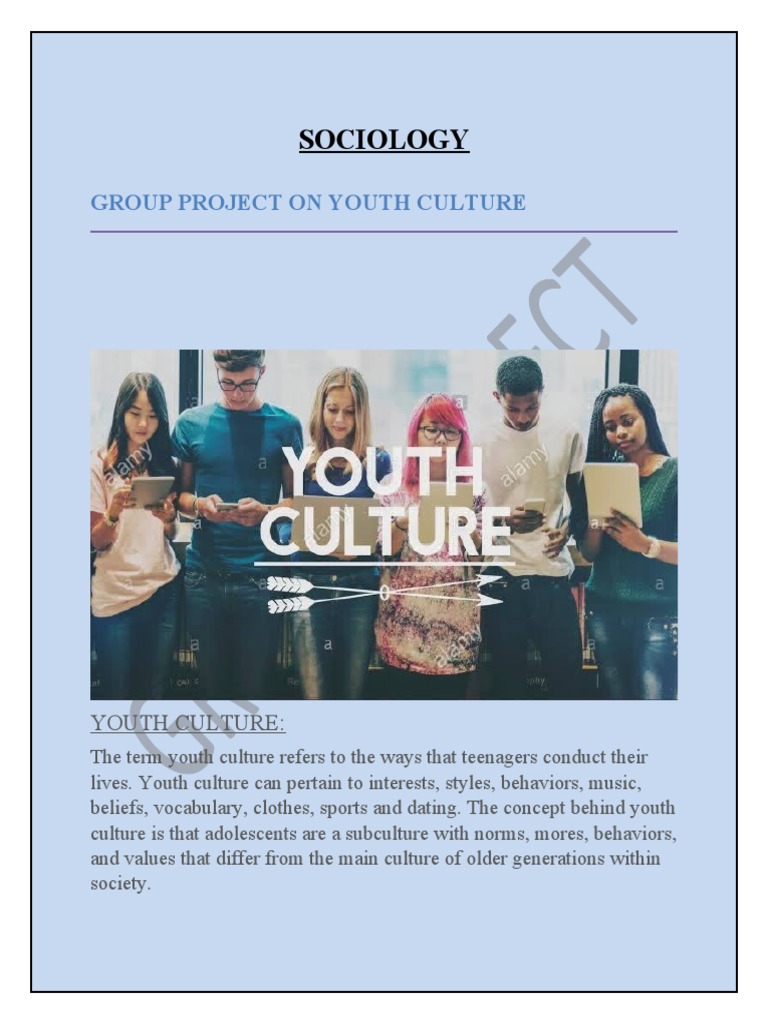 Sociology: Group Project On Youth Culture | PDF | Adolescence | Social ...