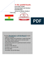 Thumb and MCP Goniometry Guide | PDF