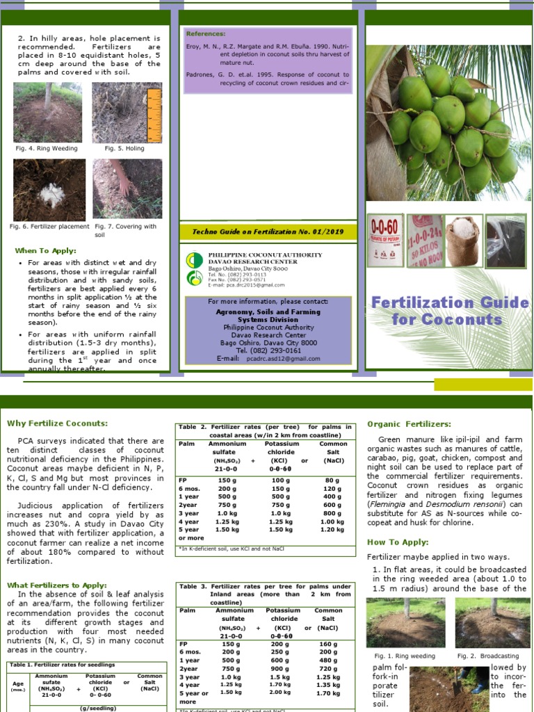 Fertilization Guide For Coconuts | PDF | Fertilizer | Potassium Chloride