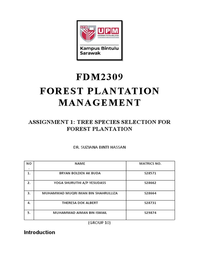 Forest Plantation Management | PDF | Soil | Trees
