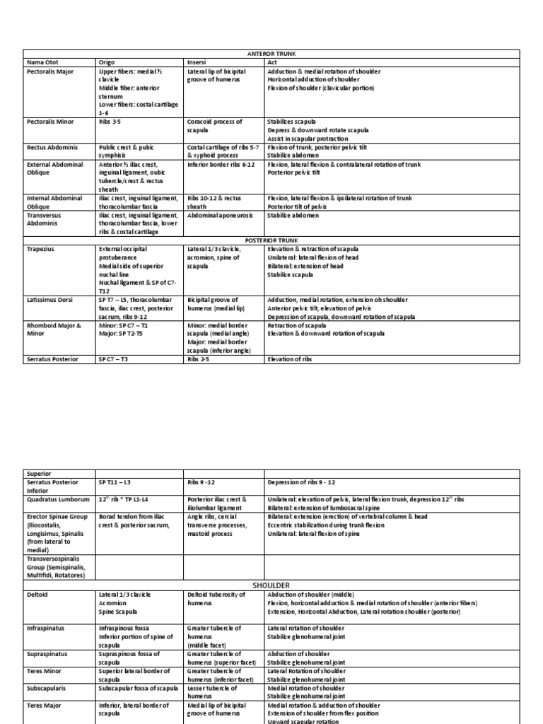Nama Otot Origo Insersi Act Pectoralis Major | PDF | Foot | Thumb