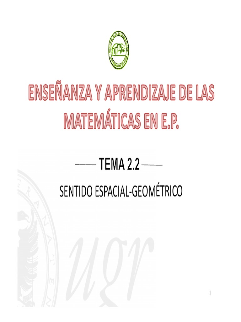 Capacidades del Sentido Espacial | PDF | Geometría | Espacio
