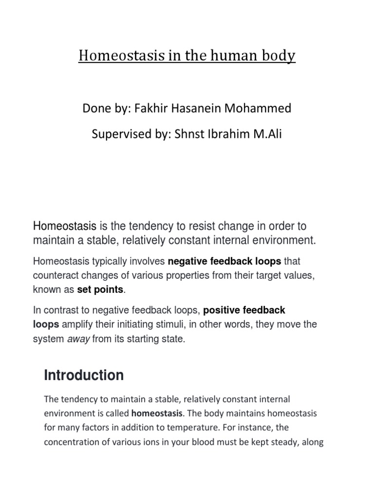 Homeostasis in The Human Body | PDF | Homeostasis | Insulin