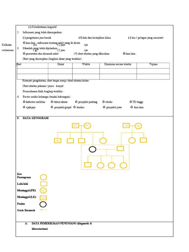 Genogram dan Askep Anemia pada Klien | PDF | Sains & Matematika