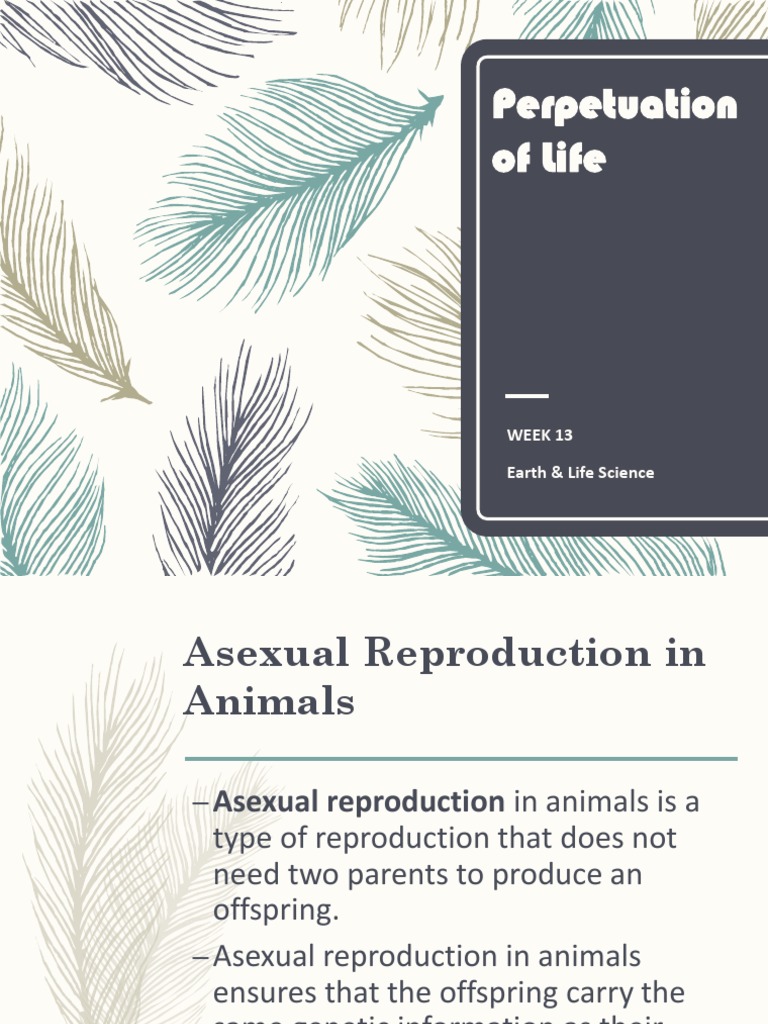 Perpetuation of Life: Week 13 Earth & Life Science | PDF | Sexual ...
