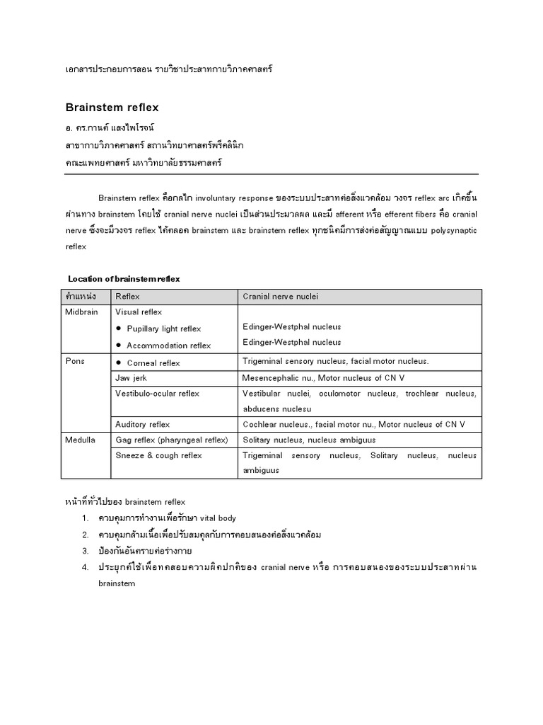 Brainstem Reflex-Note | PDF