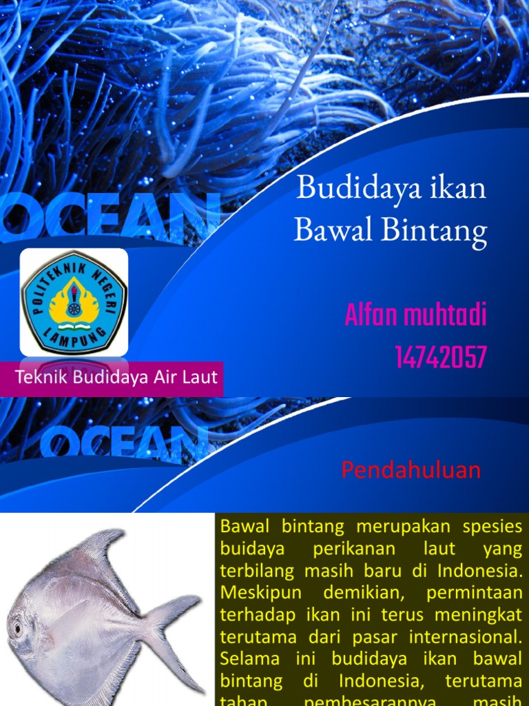 Bawal | PDF | Griya & Taman