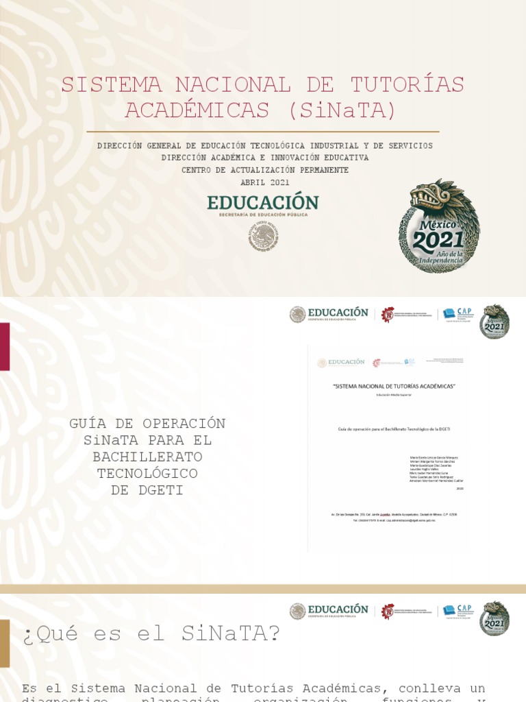 Presentacion SiNaTA | PDF | Plan de estudios | Aprendizaje