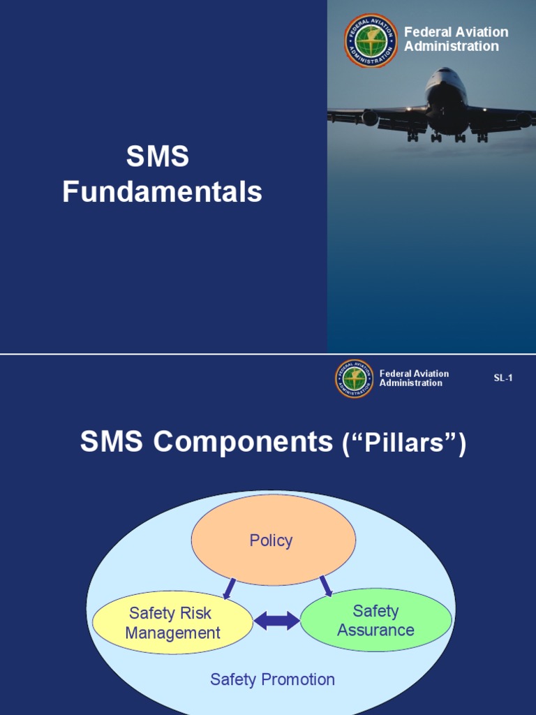 SMS Fundamentals: Federal Aviation Administration | PDF | Risk | System