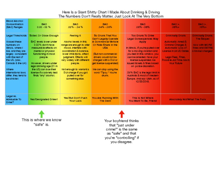 Understanding BAC Levels and DUI Risks | PDF | Driving Under The ...