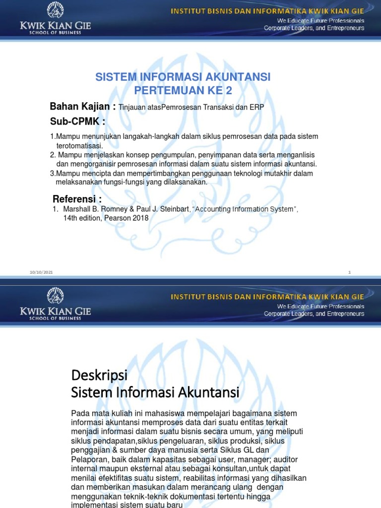 Overview Transaction Processing And Erp Pdf