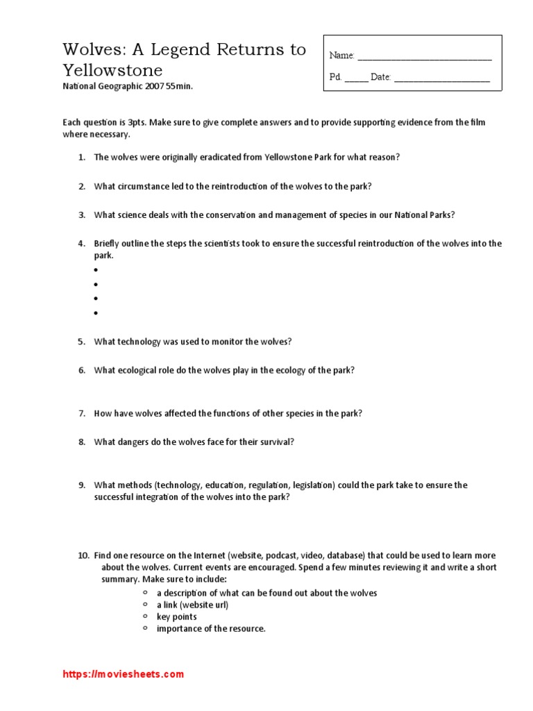 Wolves A Legend Returns Yellowstone Questions | PDF