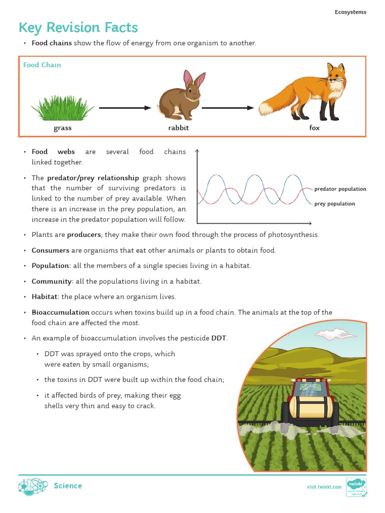 Key Revision Facts: Grass Rabbit Fox | PDF