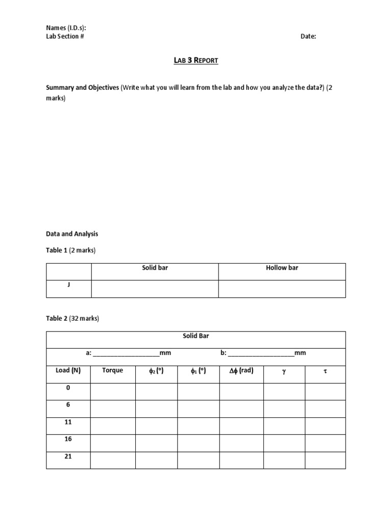Lab 3 Report Template | PDF