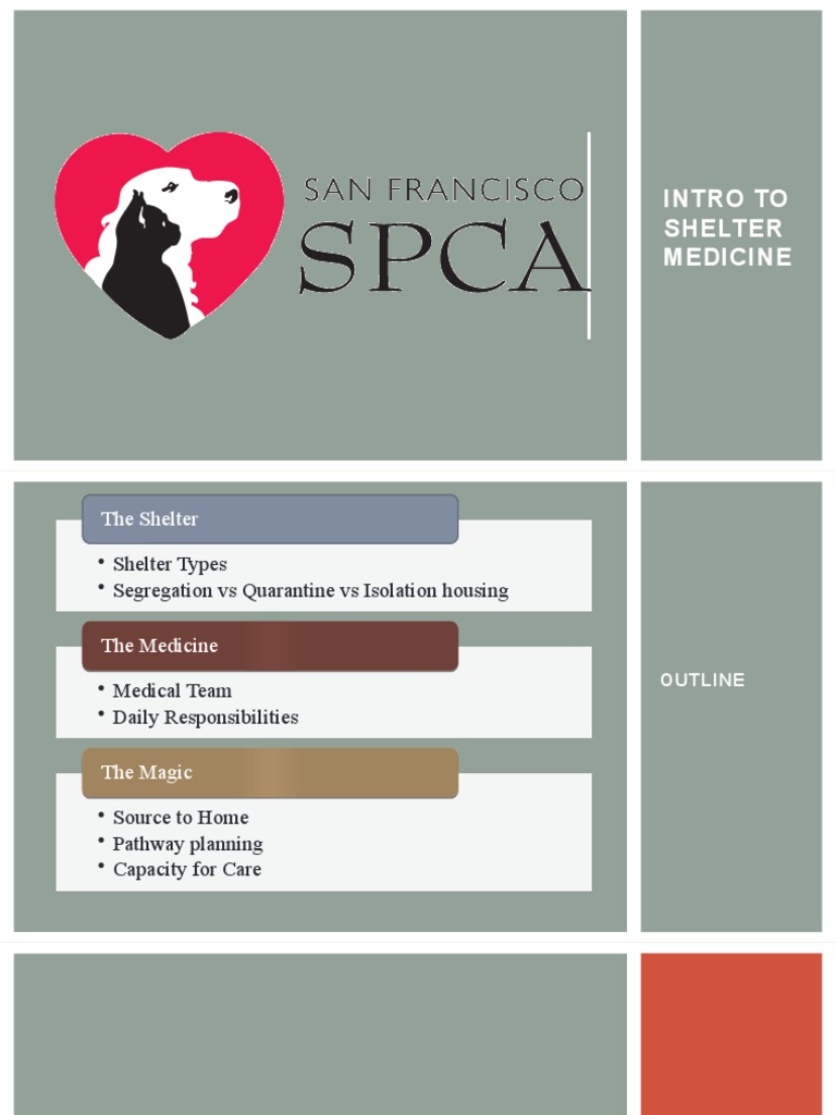 Shelter Medicine Overview Guide | PDF | Medicine | Veterinary Medicine