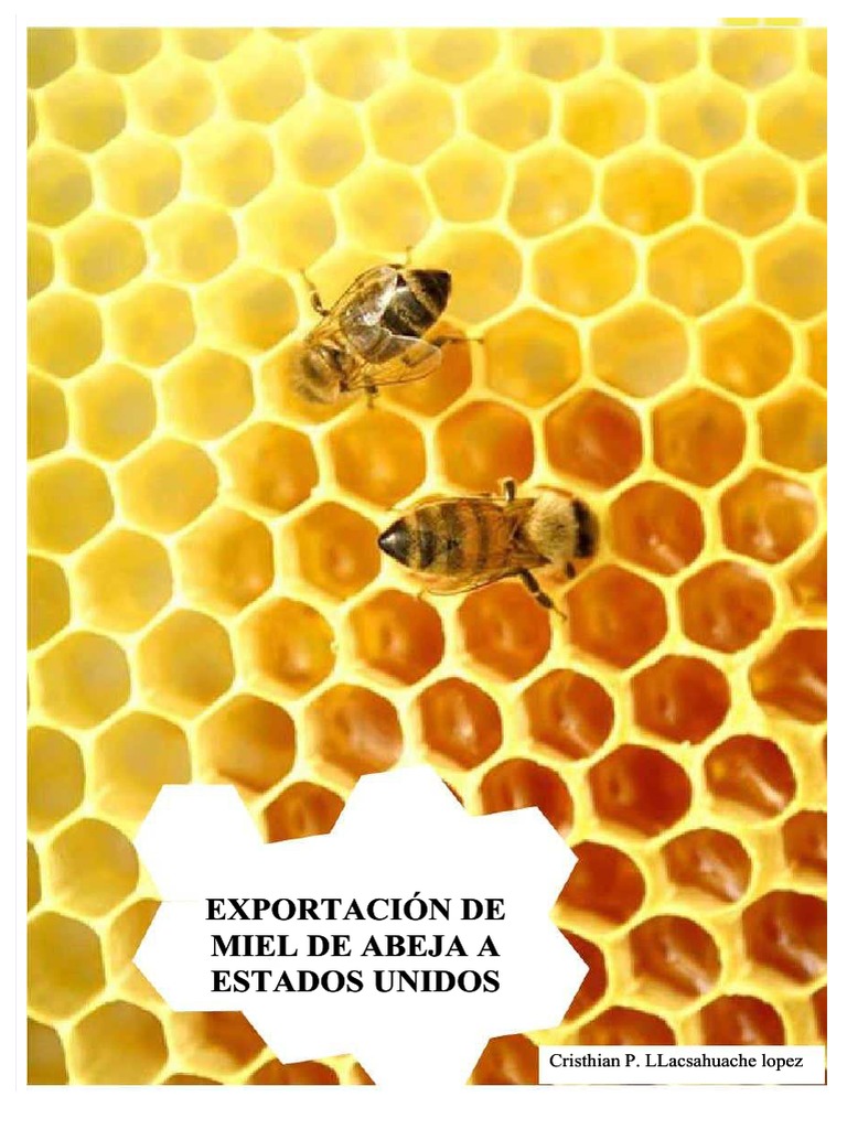 Pdf Exportacion De Miel De Abeja Dd Pdf Miel