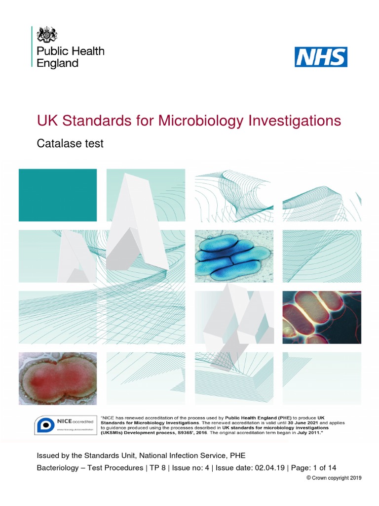 UK Standards For Microbiology Investigations: Catalase Test | PDF ...