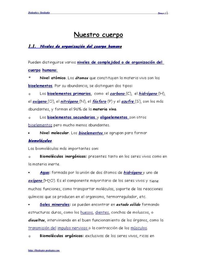 Nuestro Cuerpo | PDF | Biomoléculas | Biología Celular)