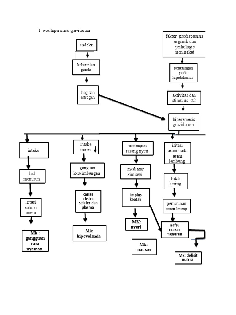 Woc Hiperemesis | PDF