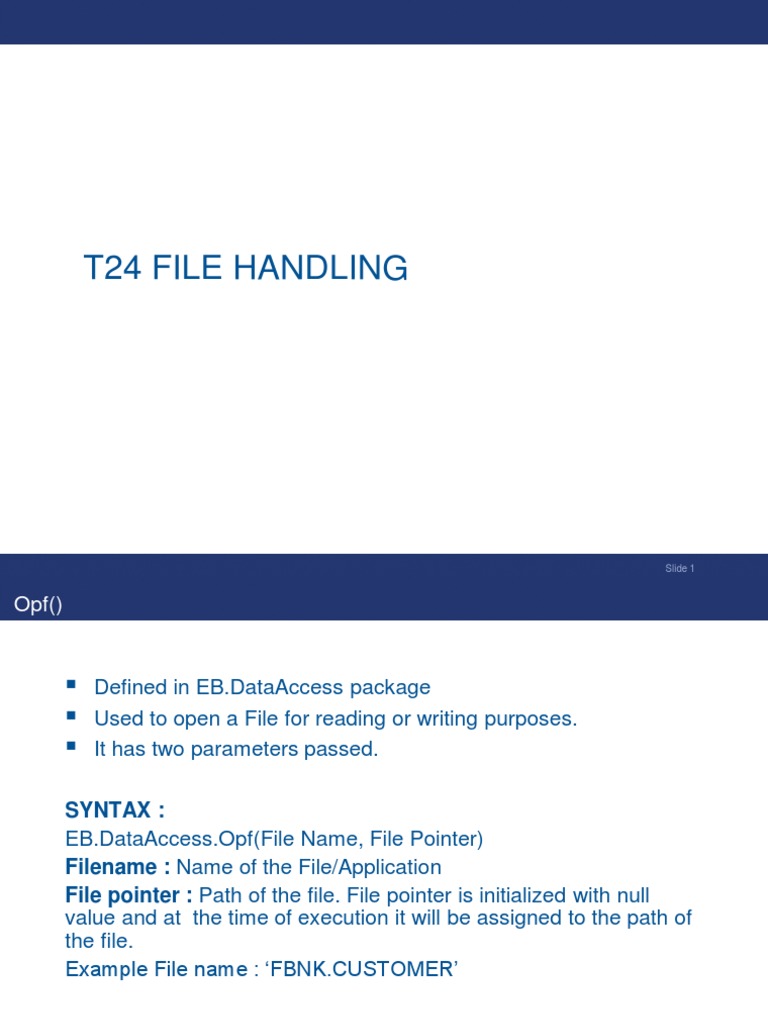 File Handeling | PDF | Filename | Pointer (Computer Programming)