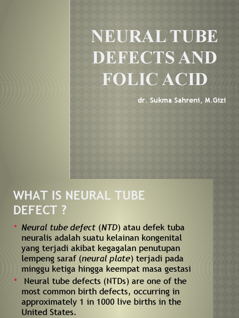 Folic Acid's Role in Neural Tube Defects | PDF | Vertebral Column ...