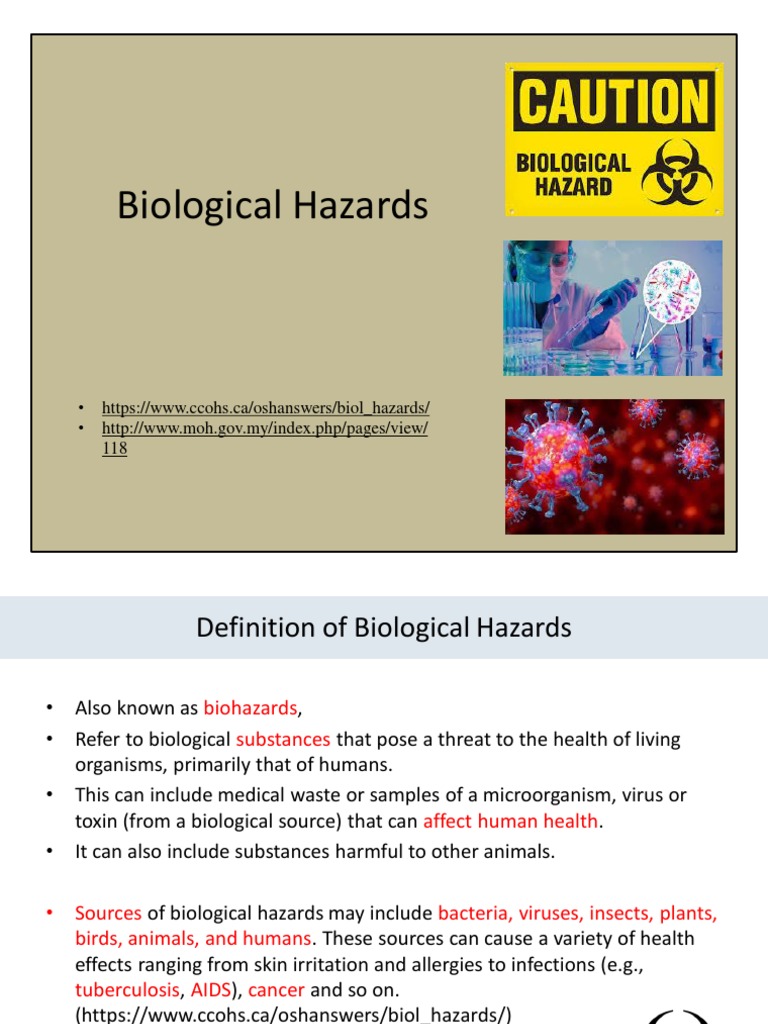 Occupational Hazards of Biological Agents: A Comprehensive Review of ...