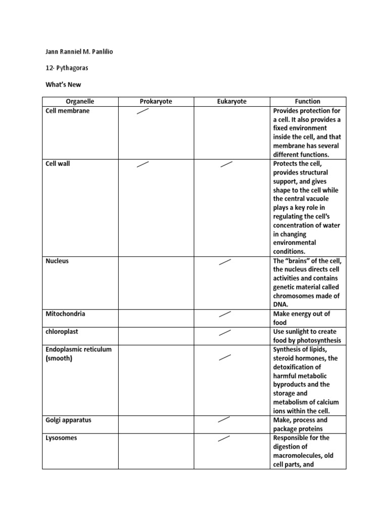 Gen Bio Module 3 | PDF | Cell (Biology) | Endoplasmic Reticulum