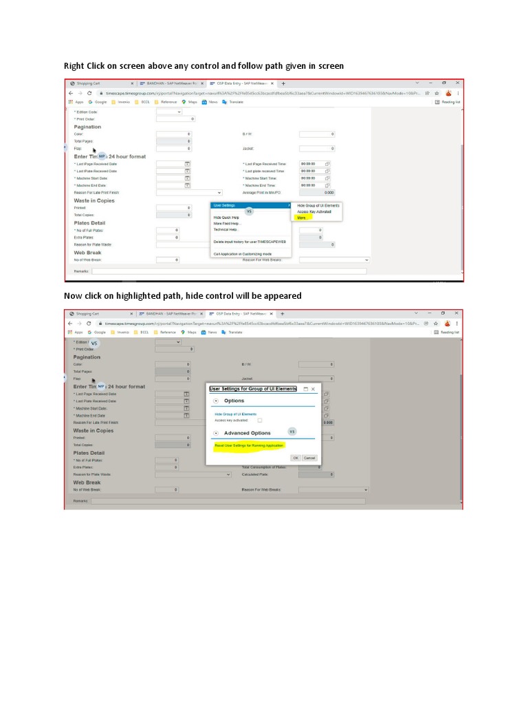 Control Hide Issue in Web Dynpro Screen | PDF