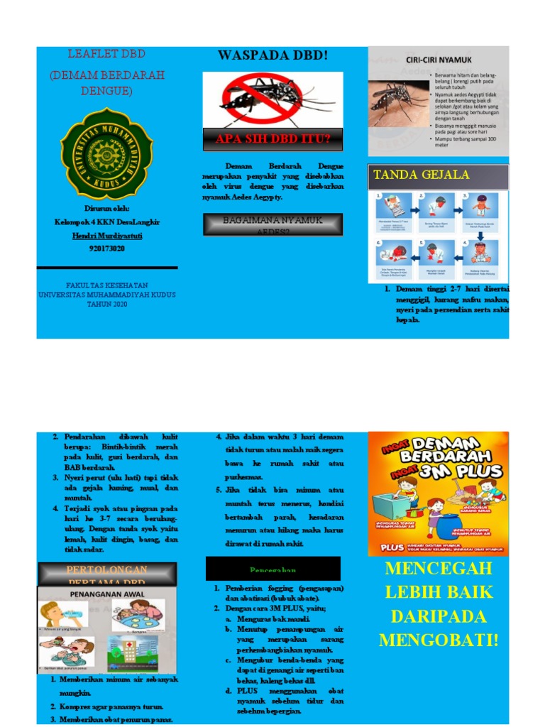 Leaflet DBD (Hendri) | PDF