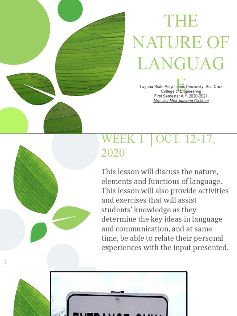 Understanding Language's Nature | PDF | Word | Language Acquisition