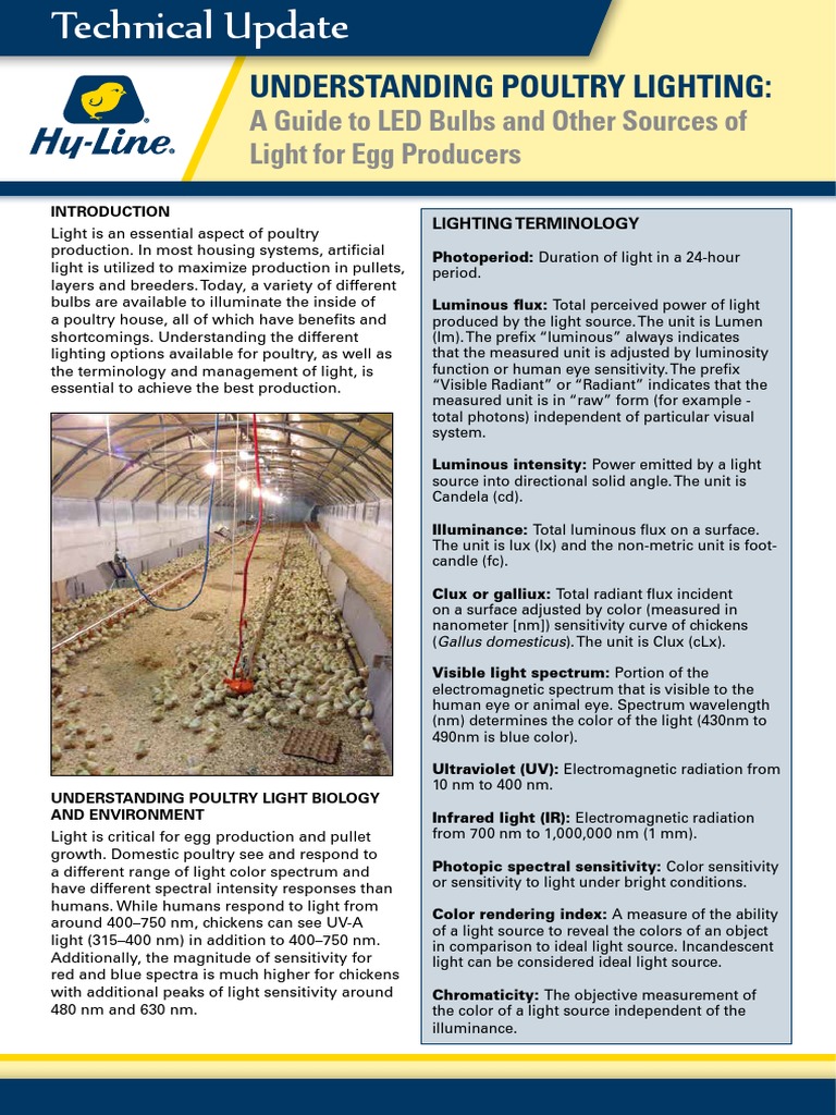Understanding of LIGHTING | Download Free PDF | Compact Fluorescent ...