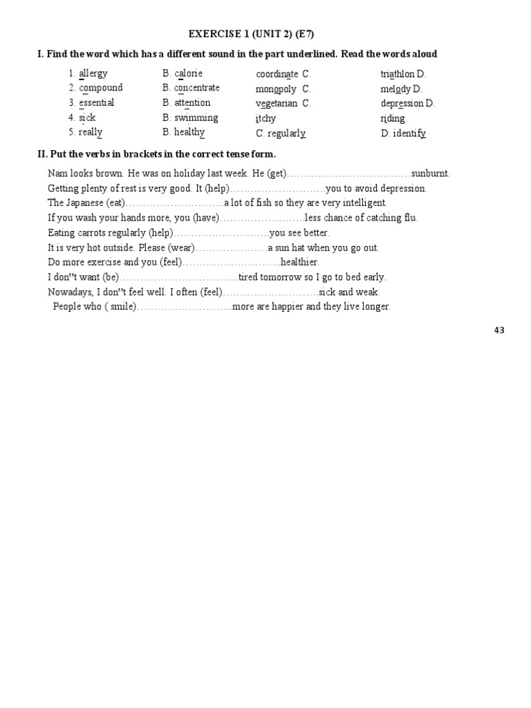 exercise-1-pdf-lunch-diet-nutrition