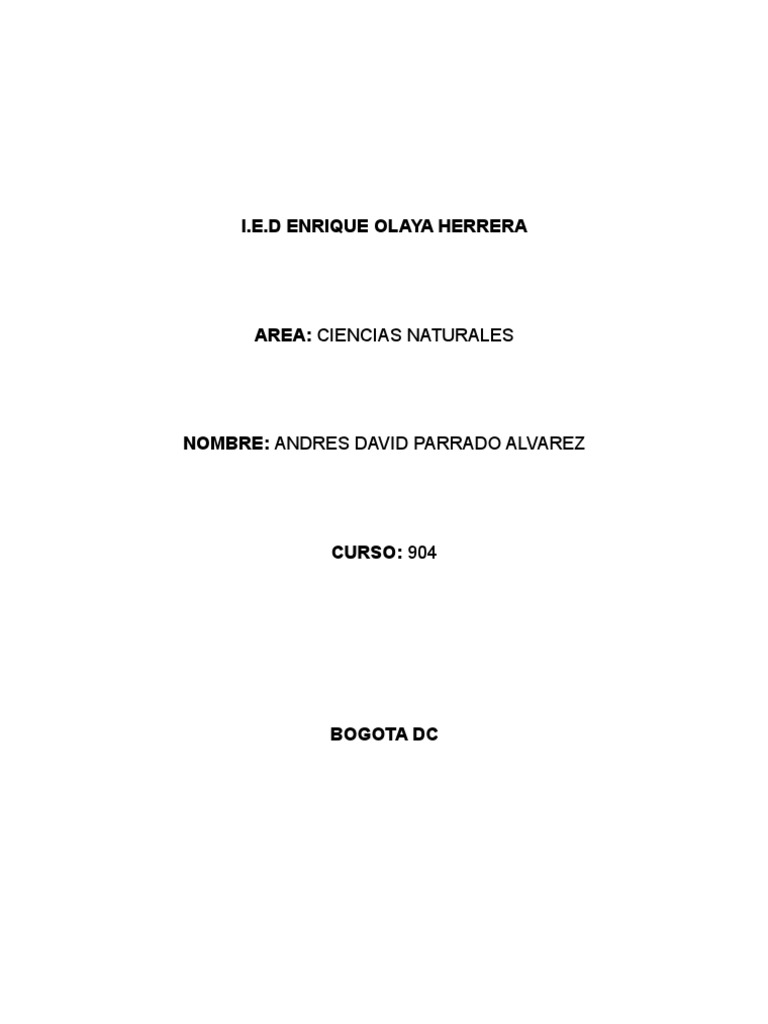 Características y Hábitos de las Avispas | PDF | Vespidae | Insectos