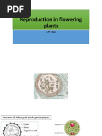 Class 11 Biology: Plant Growth Notes | PDF | Plant Hormone | Auxin