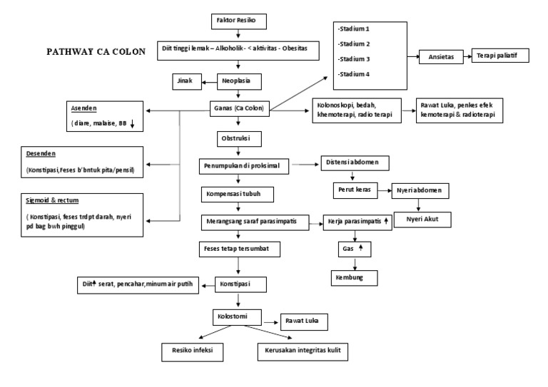 Pathway CA Colon | PDF